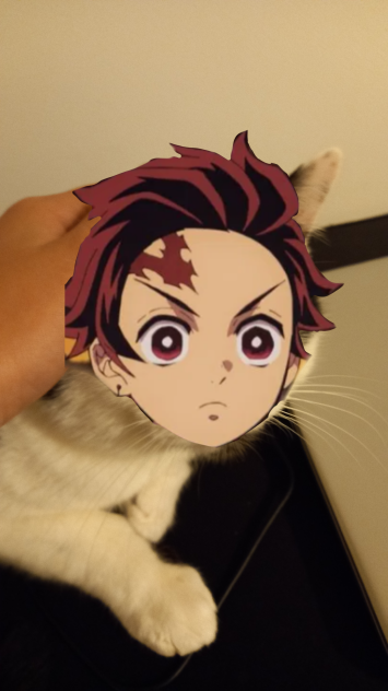 Tanjiro Cat - ibisPaint