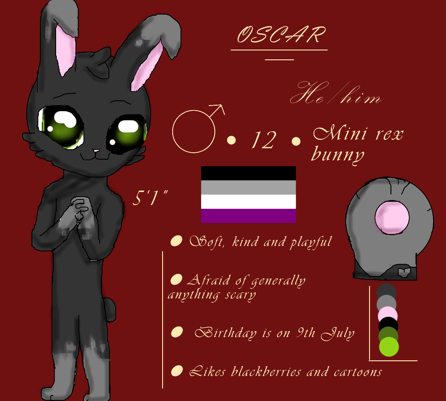 Oscar ref - ibisPaint