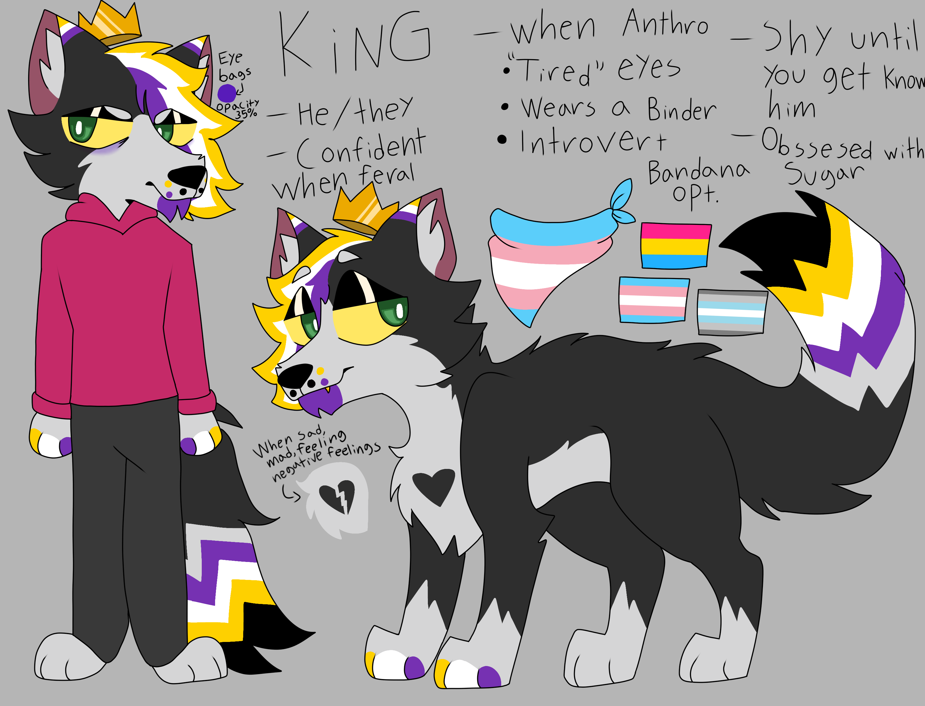 Ref for my fursona, King - ibisPaint
