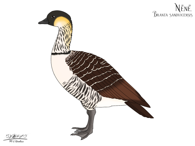 Nene goose - ibisPaint