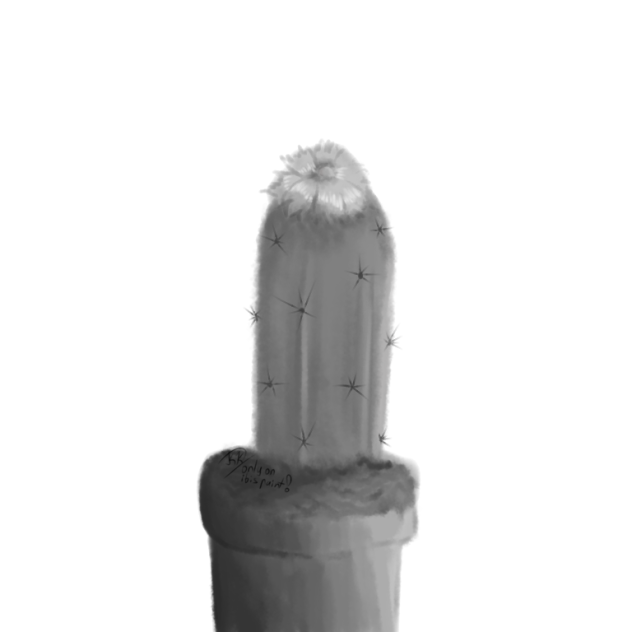 Cactus!! - ibisPaint