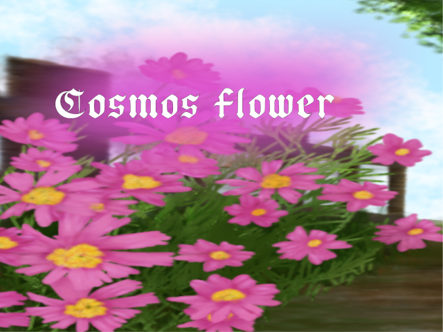 Cosmos flower animation - ibisPaint