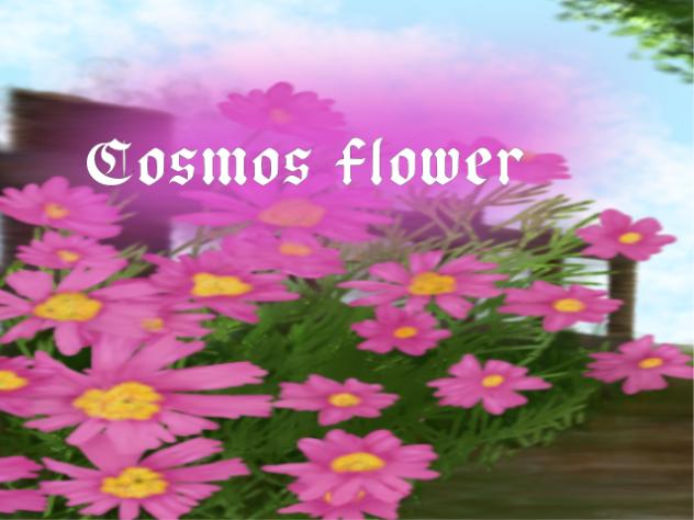 Cosmos flower animation - ibisPaint