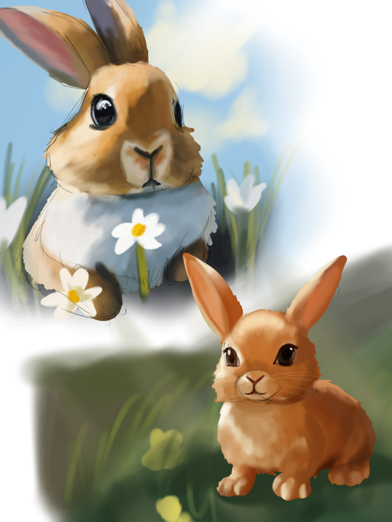 BUNNIES - ibisPaint