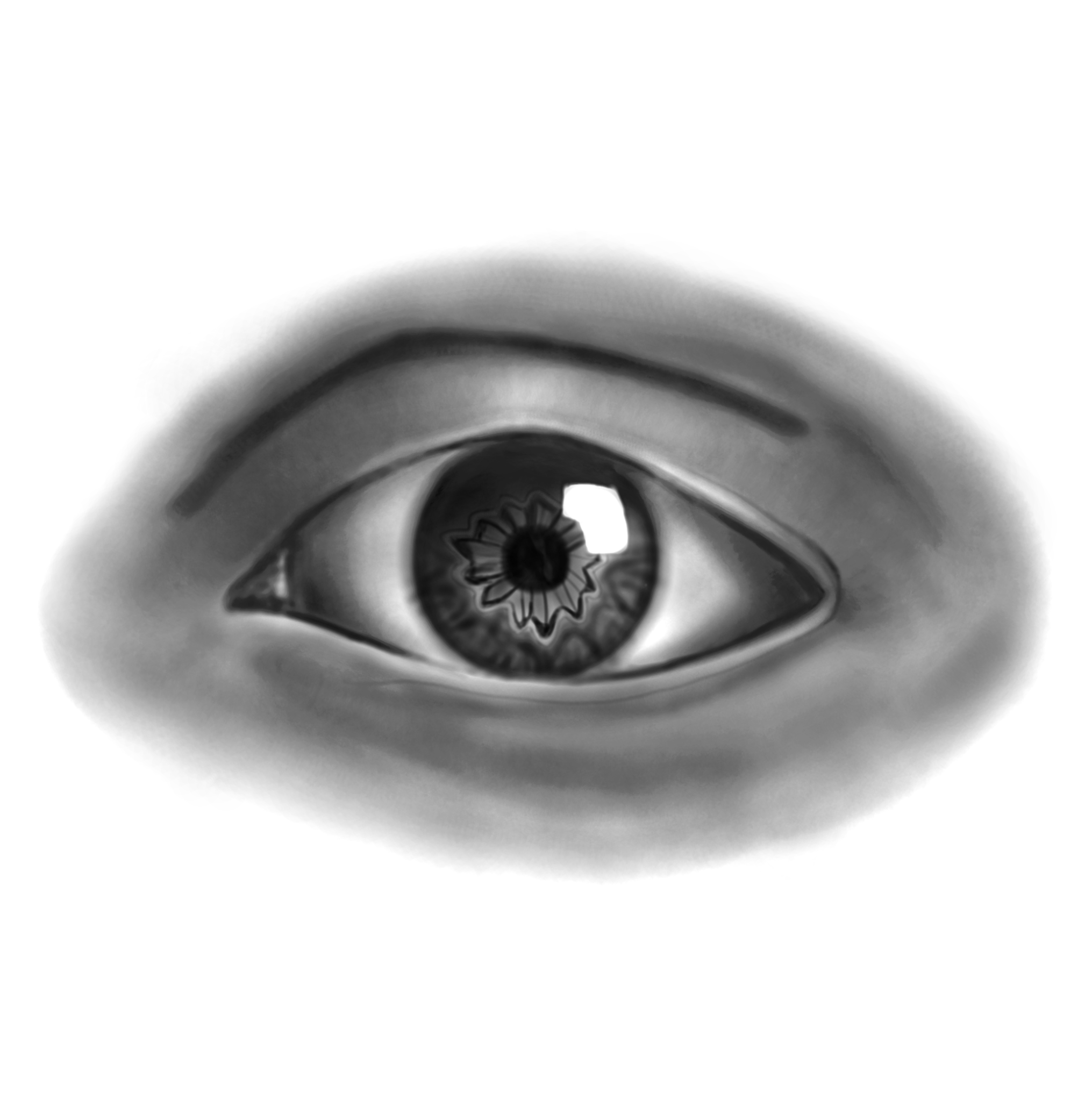 Realistic eye - ibisPaint