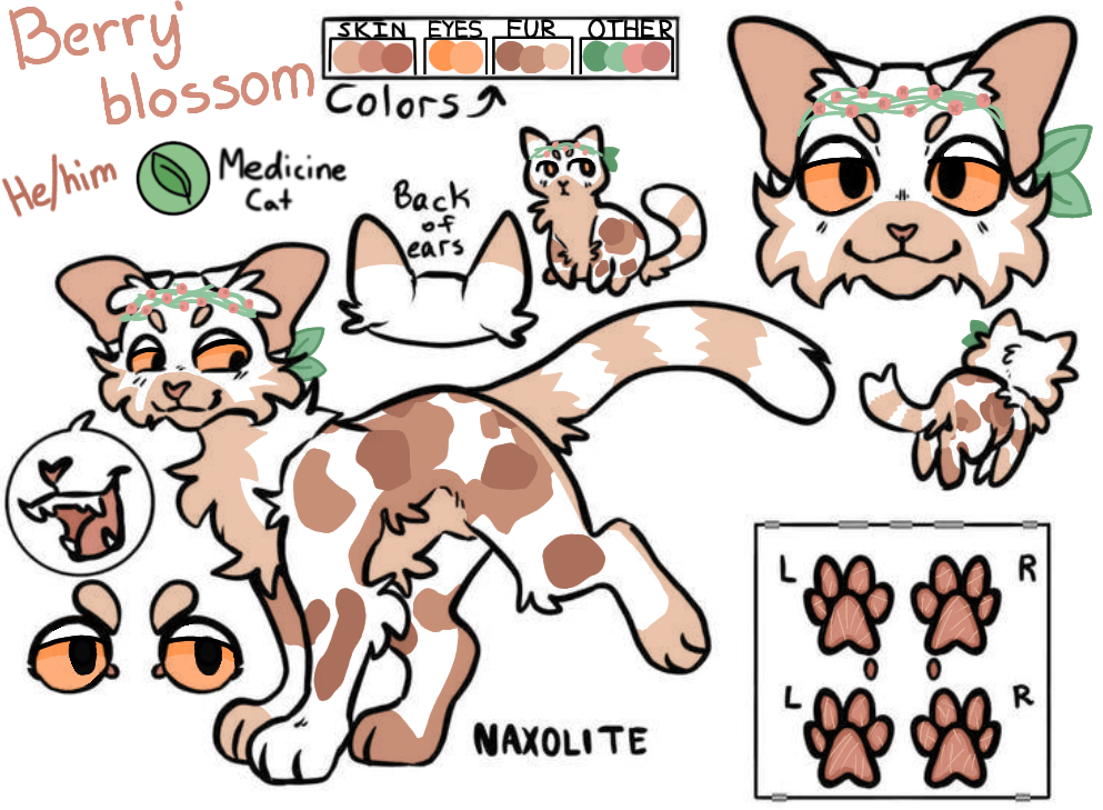 Berry'blossom (warrior cats OC) - ibisPaint