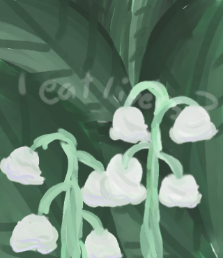 flower thingy 🤍 - ibisPaint