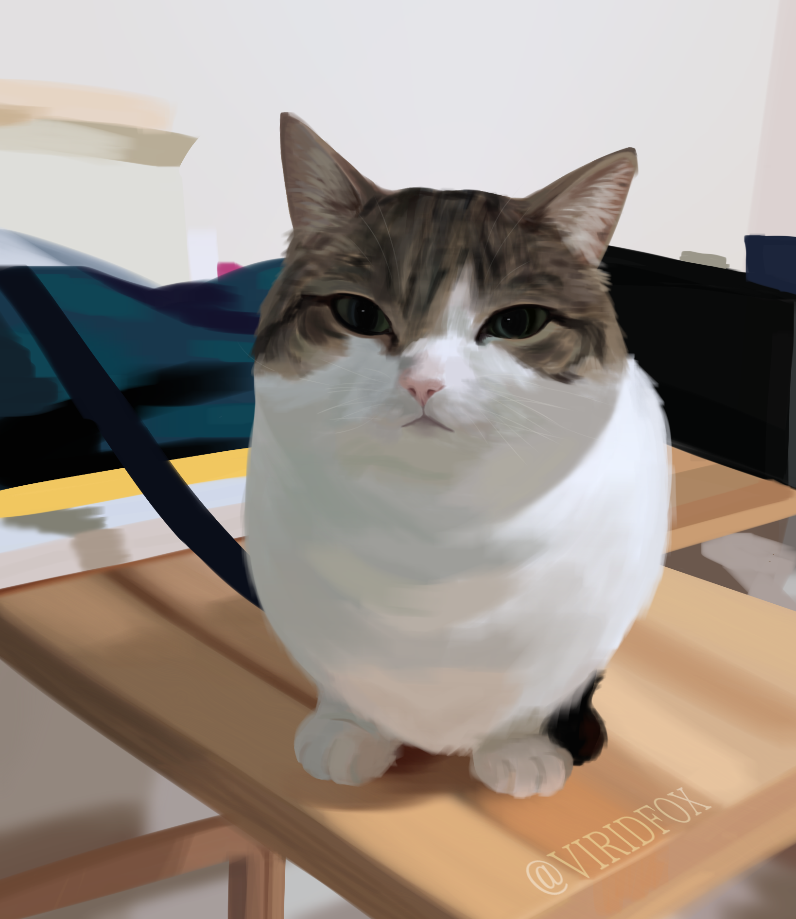 oh the misery cat - ibisPaint