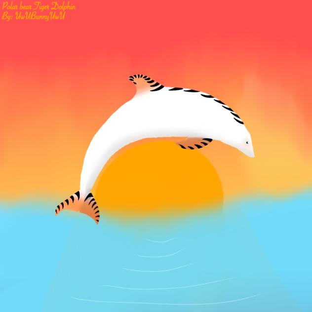 Dolphin in a sunset - ibisPaint