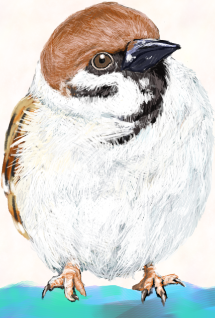 スズメ the sparrow - ibisPaint