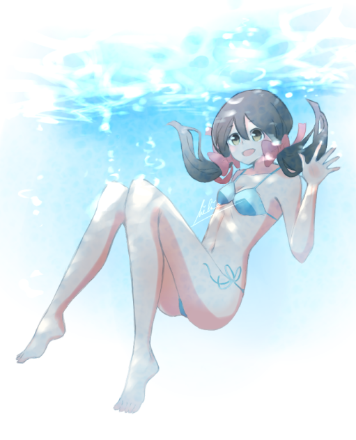 aph. seychelles - ibisPaint