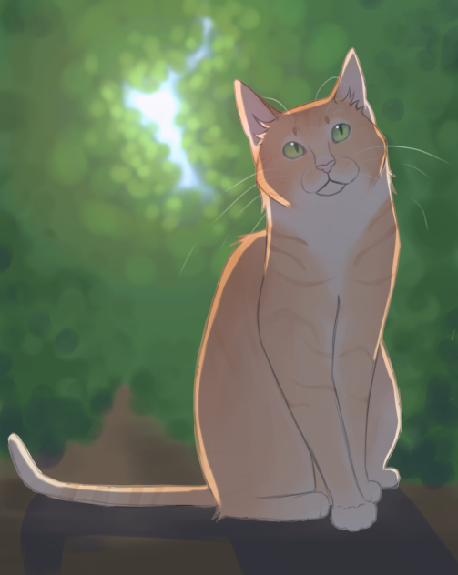 cat practice - ibisPaint