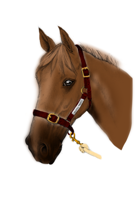 Western horse - ibisPaint