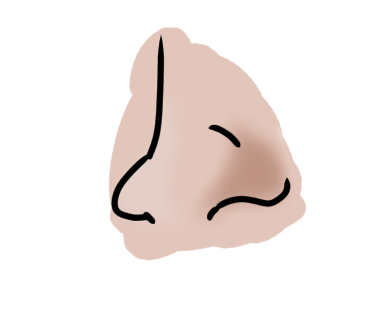 Nose - ibisPaint