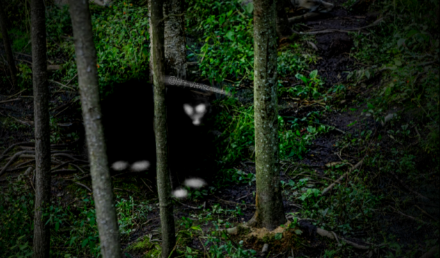 {CRYPTID} Junction Fowl - ibisPaint