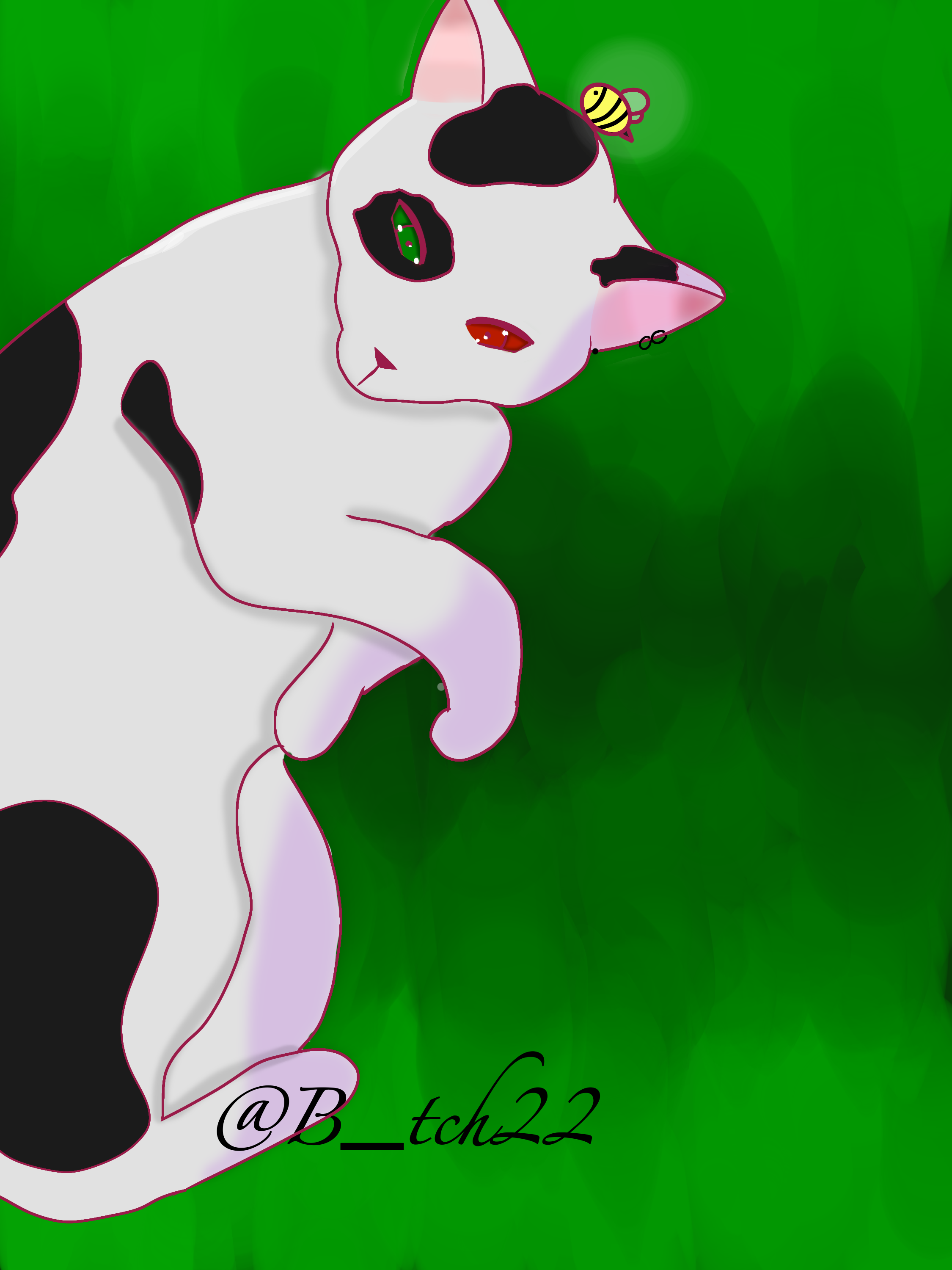 Ranboo cat - ibisPaint