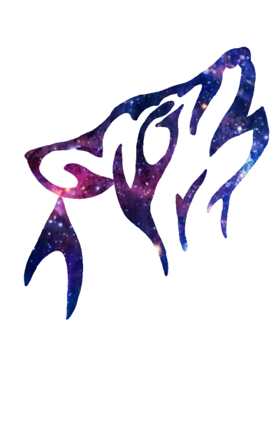 Galaxy Wolf - ibisPaint