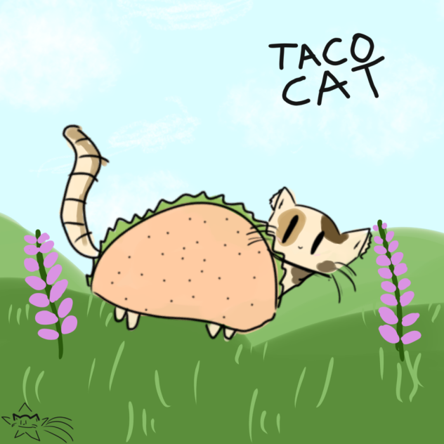 Taco cat! - ibisPaint