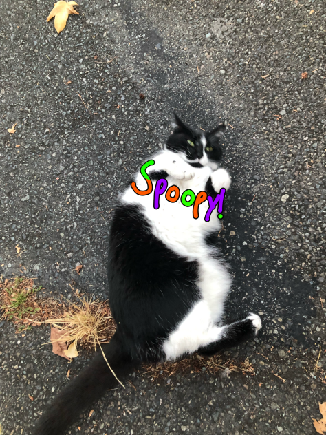 SPOOPY CAT - ibisPaint