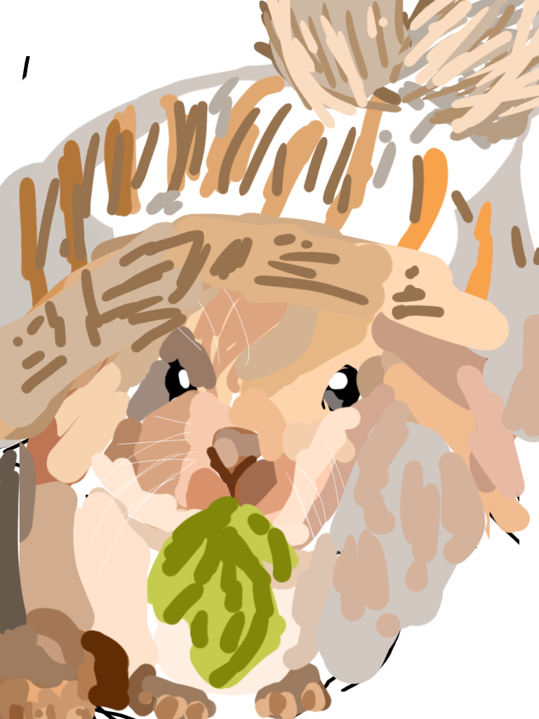 Rabbit - ibisPaint