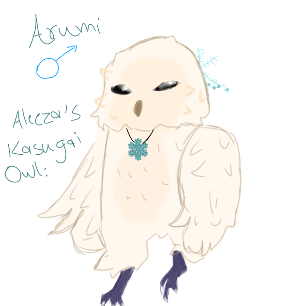 Owl. - ibisPaint