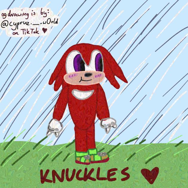 Knuckles - ibisPaint