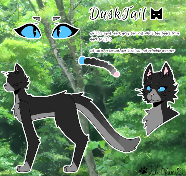 Warriors OC - ibisPaint