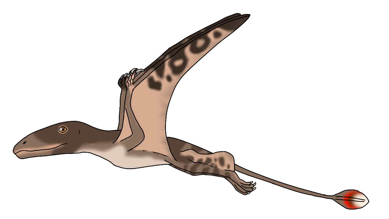 Dimorphodon macronyx2 - ibisPaint