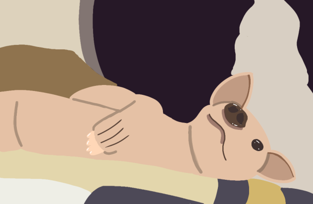 Belly Rubs - ibisPaint