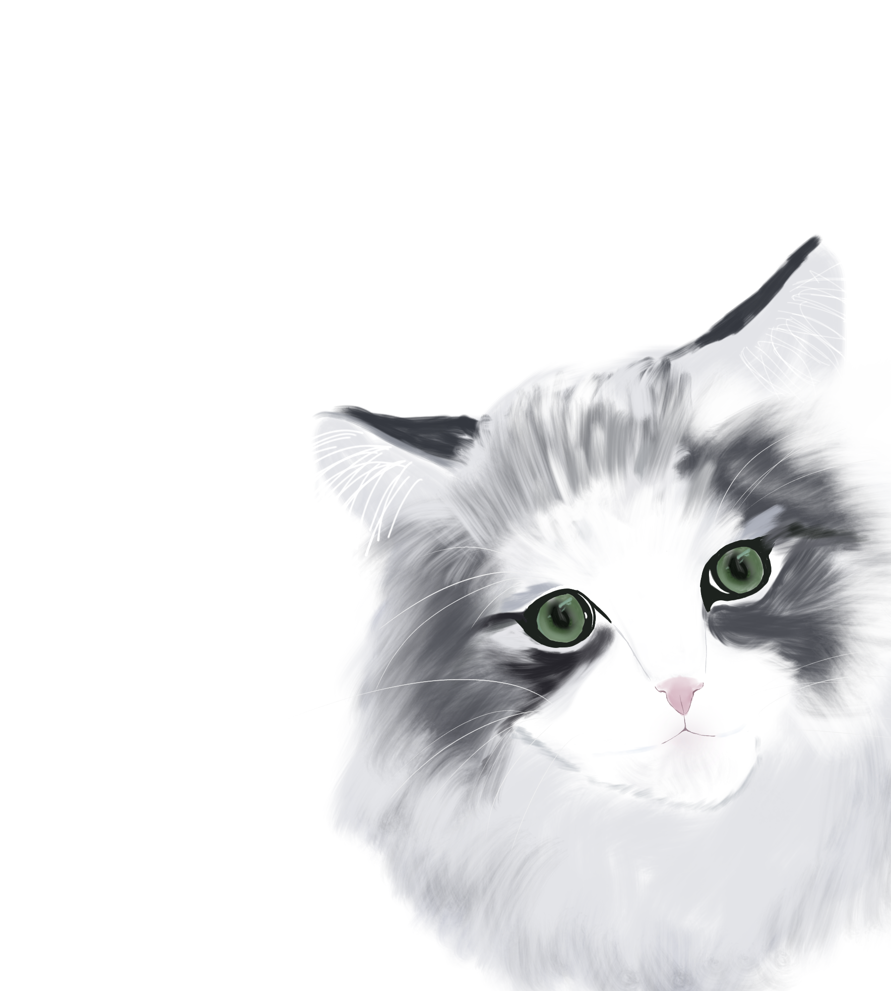 Realistic cat🐱 - ibisPaint