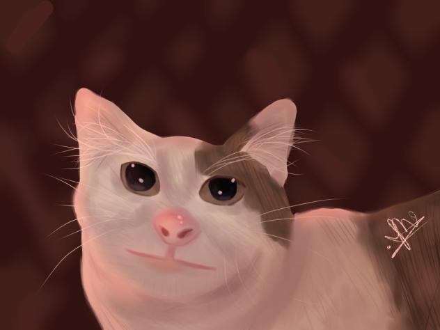 Kitty cat - ibisPaint