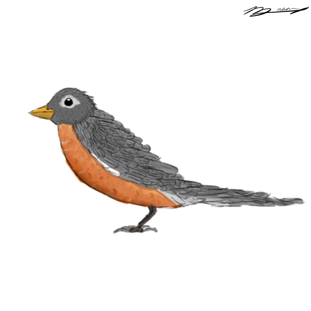 Bird - ibisPaint