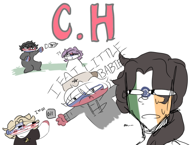 Country human fandom banner - ibisPaint