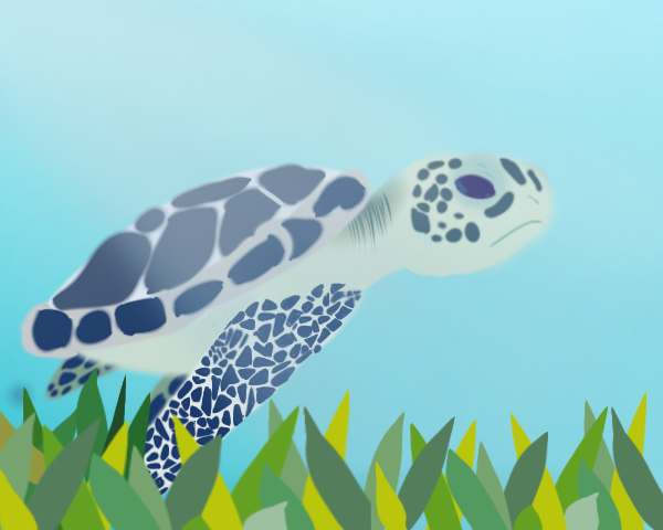 Water turtle° °°• - ibisPaint