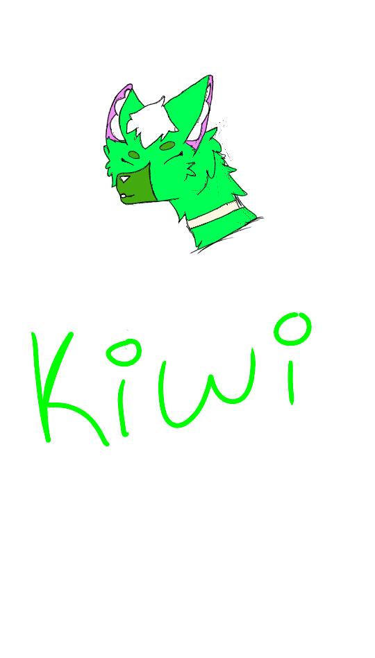 Kiwi - ibisPaint