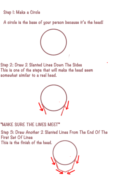 How To Draw A Head - ibisPaint