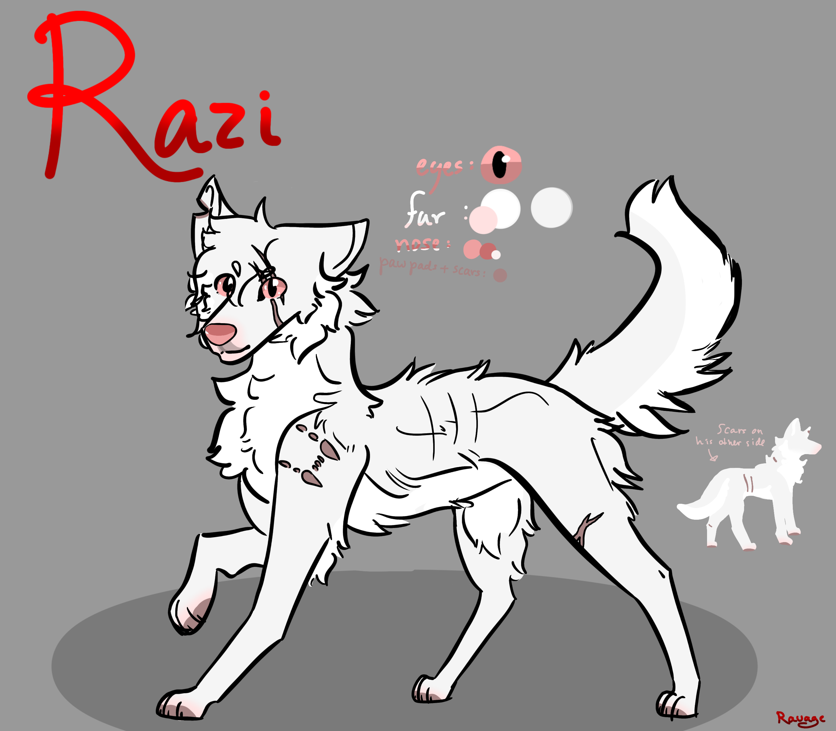 Simple Razi REFsheet - ibisPaint