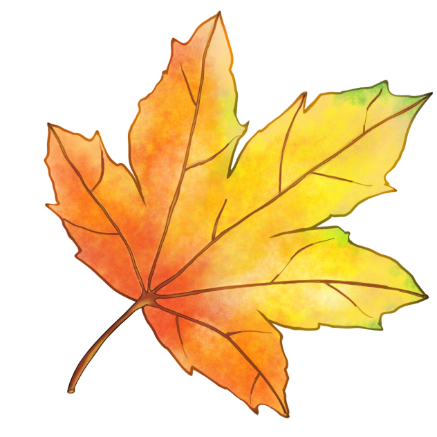 Daun maple - ibisPaint