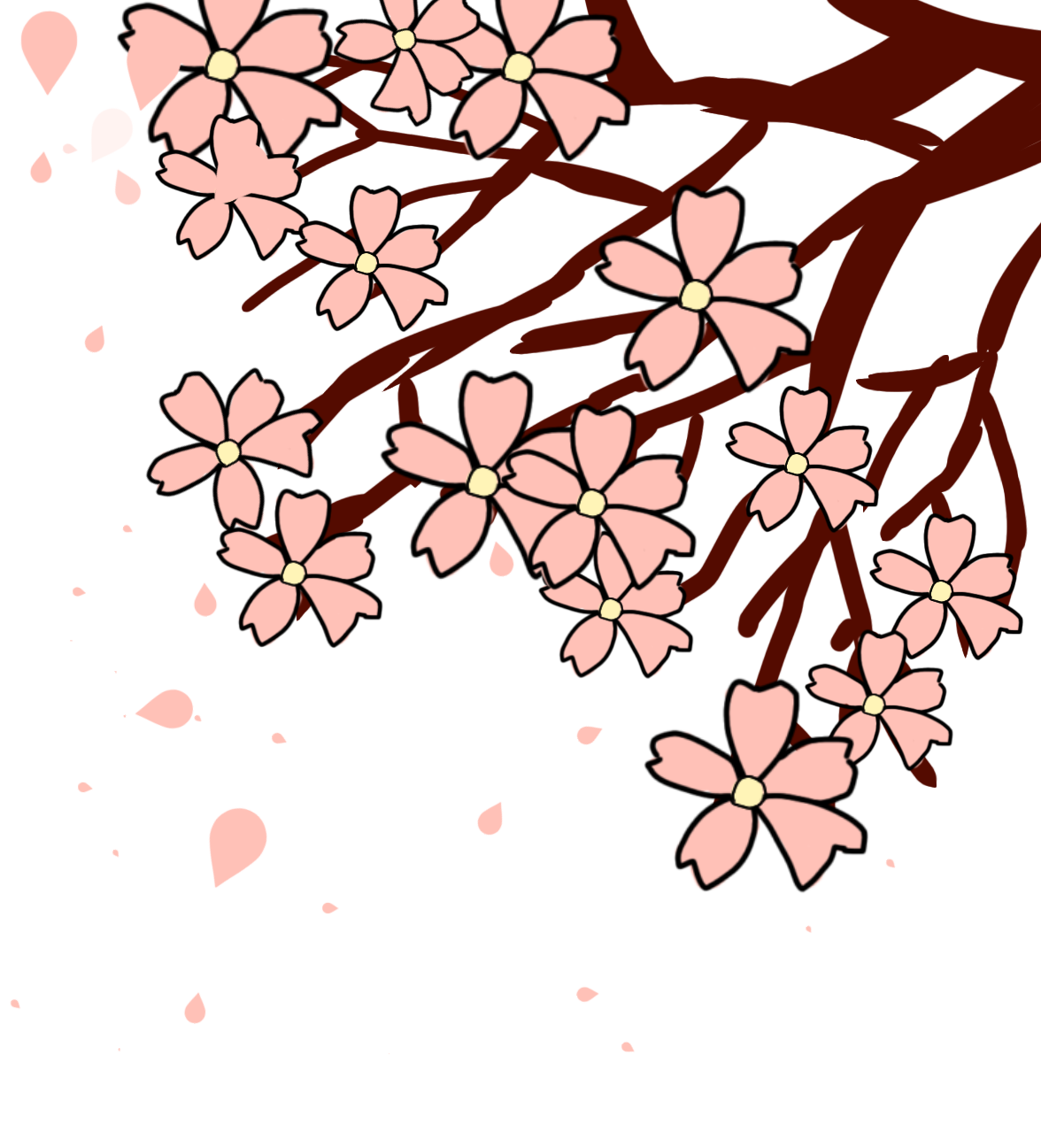 cherry blossom - ibisPaint