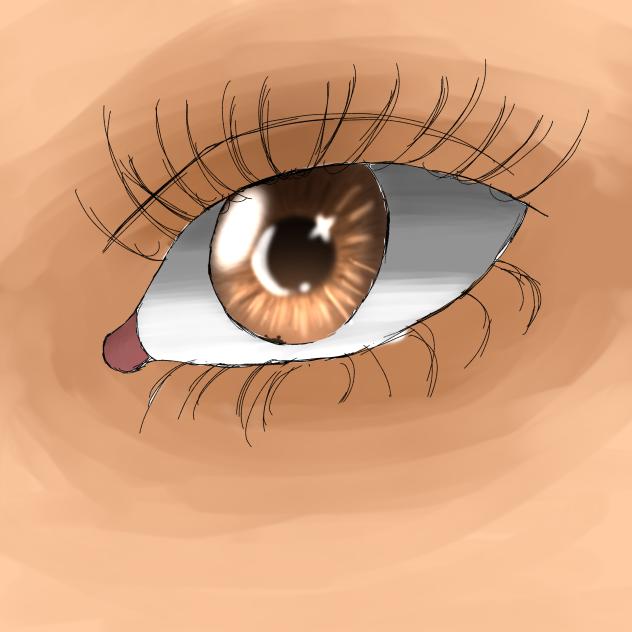 -chocolate idk- - ibisPaint