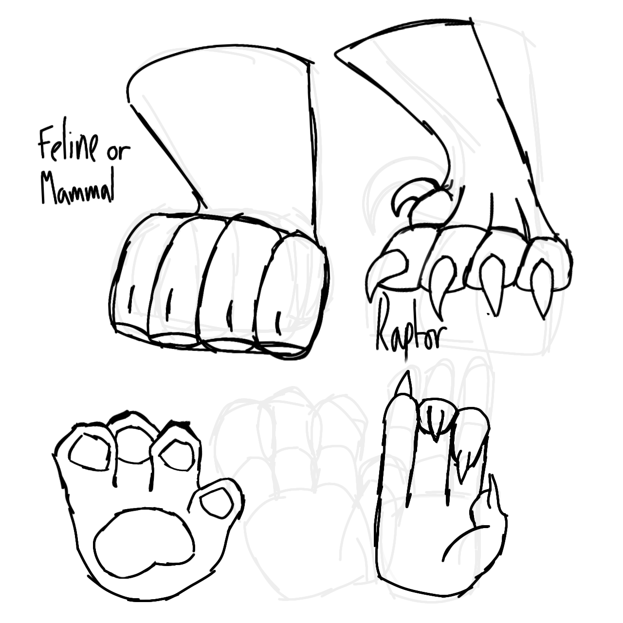 Paw and Talon Practice 1 - ibisPaint