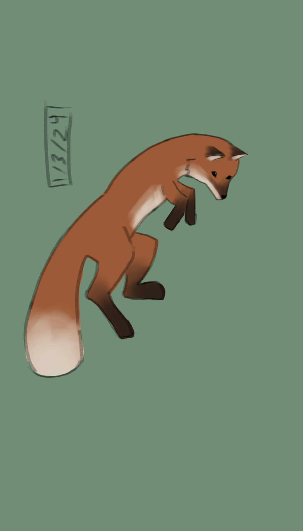 little fox - ibisPaint