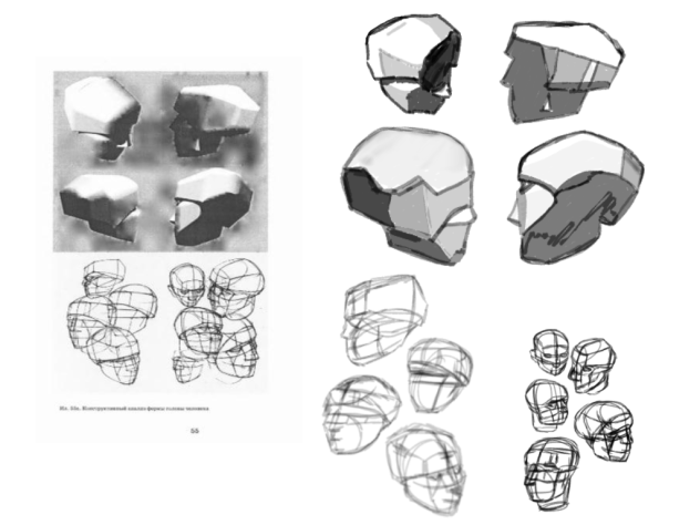 building a skull. skull. - ibisPaint