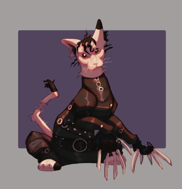 Cat eddward scissorhands - ibisPaint