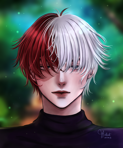 TODOROKI FANART - ibisPaint