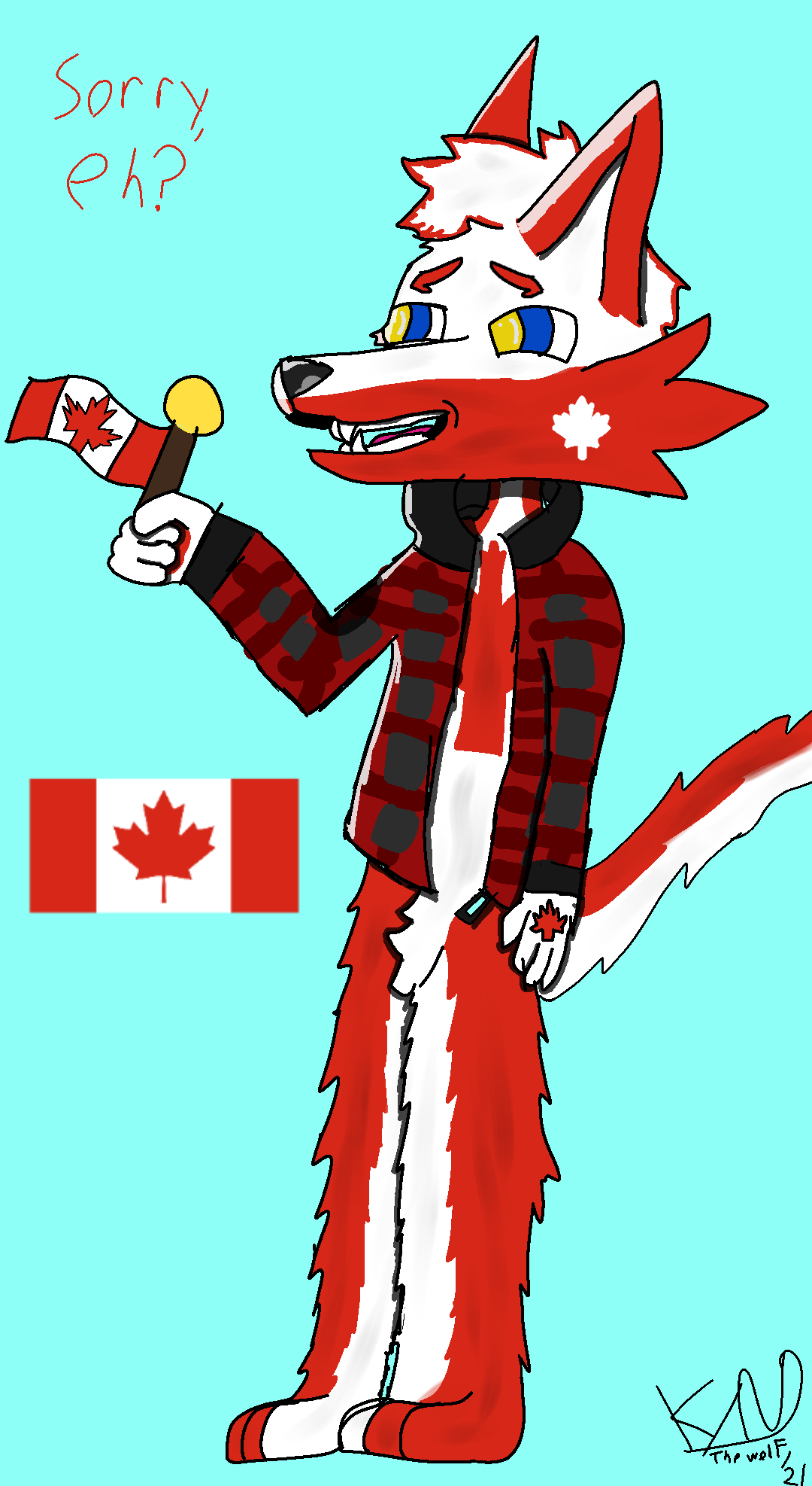 Canada (Furry edition) - ibisPaint