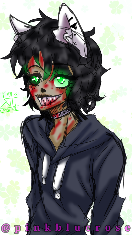 fan art of finn! - ibisPaint