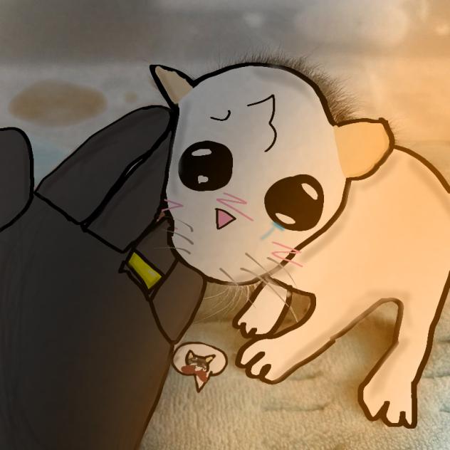 poor toro - ibisPaint