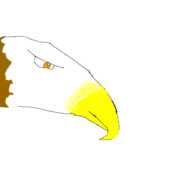Eagle - ibisPaint