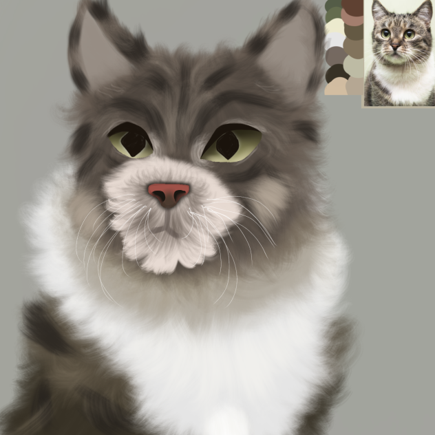 Cat - first time - ibisPaint